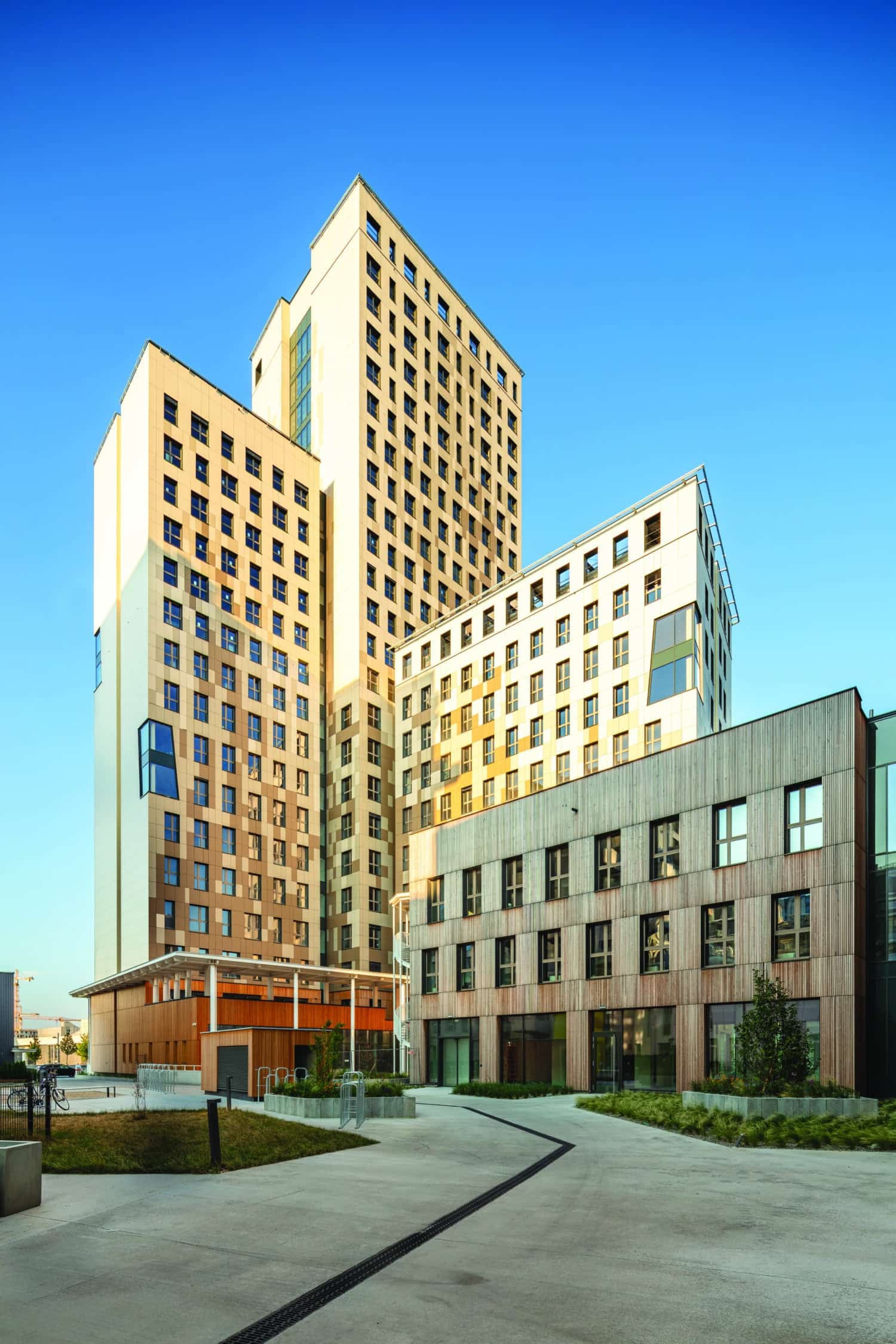 米国で世界一の高さを誇る“木造”の高層タワーが誕生 | TEXAL