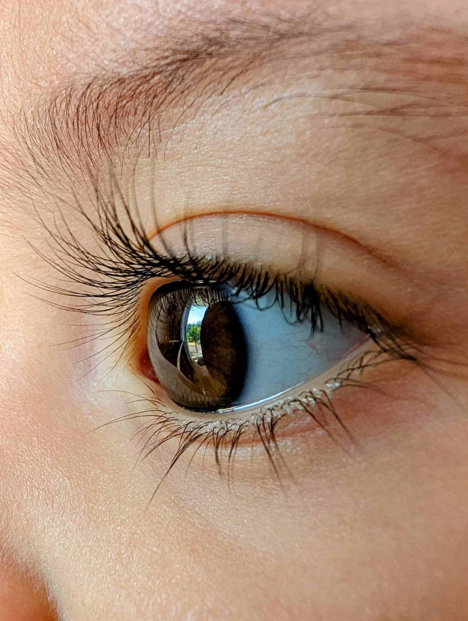 Pixel 7 Proの凄すぎる夜景撮影機能とマクロ撮影機能の作例紹介 | TEXAL