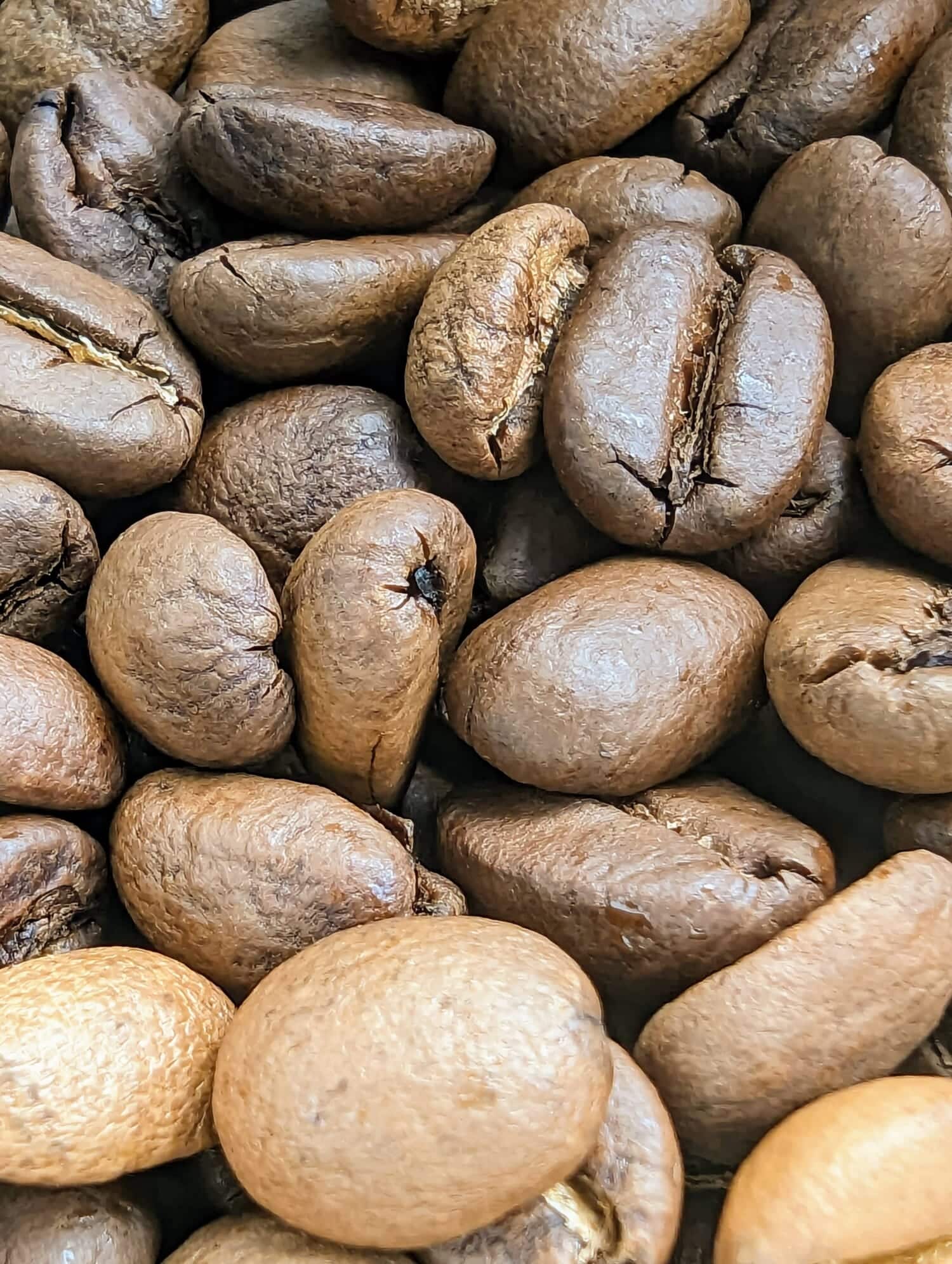 Pixel 7 Proの凄すぎる夜景撮影機能とマクロ撮影機能の作例紹介 | TEXAL