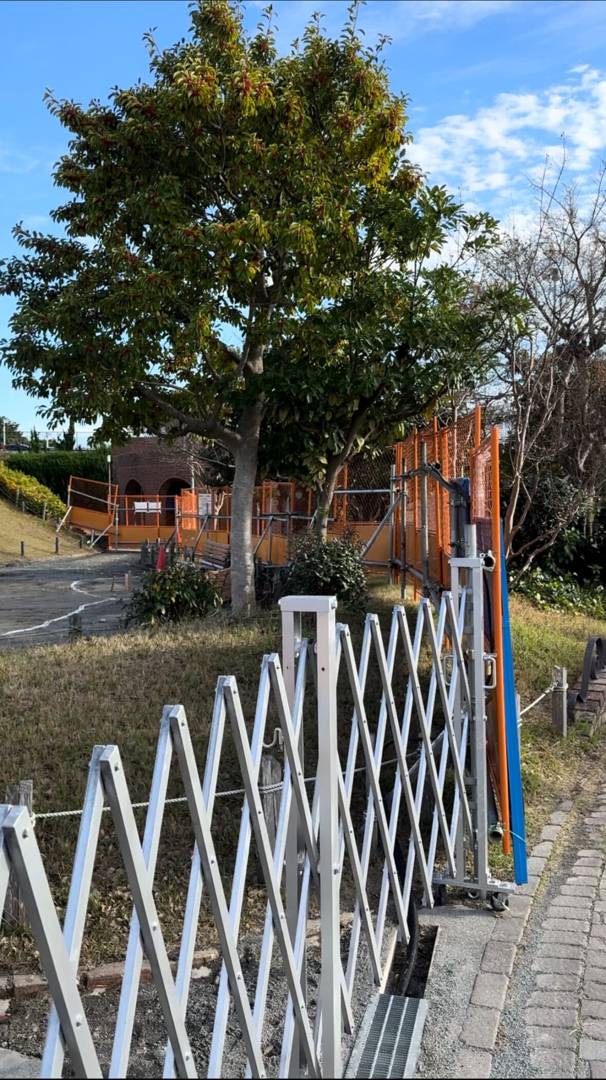 Google Pixel 8 Proの「動画ブースト」機能とは何か？どのように使うのか？ | TEXAL